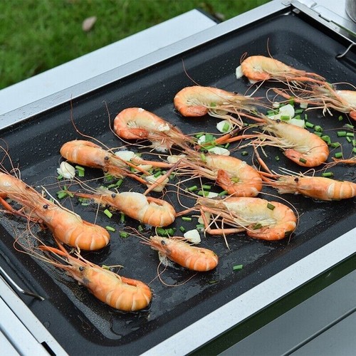 Au Camping Cooking Large Frying Plate Non-stick Grilled Fish Barbecue ...