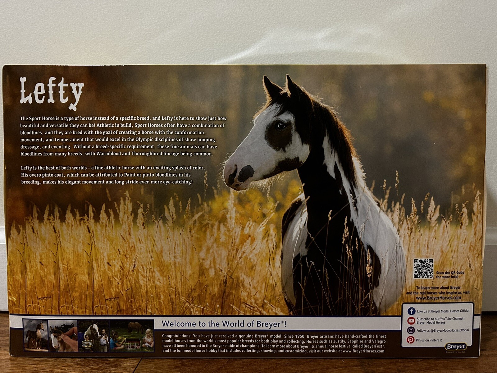 LEFTY - Traditional Breyer Horse - TSC #301185 - Pinto Sport Horse 2023 ...