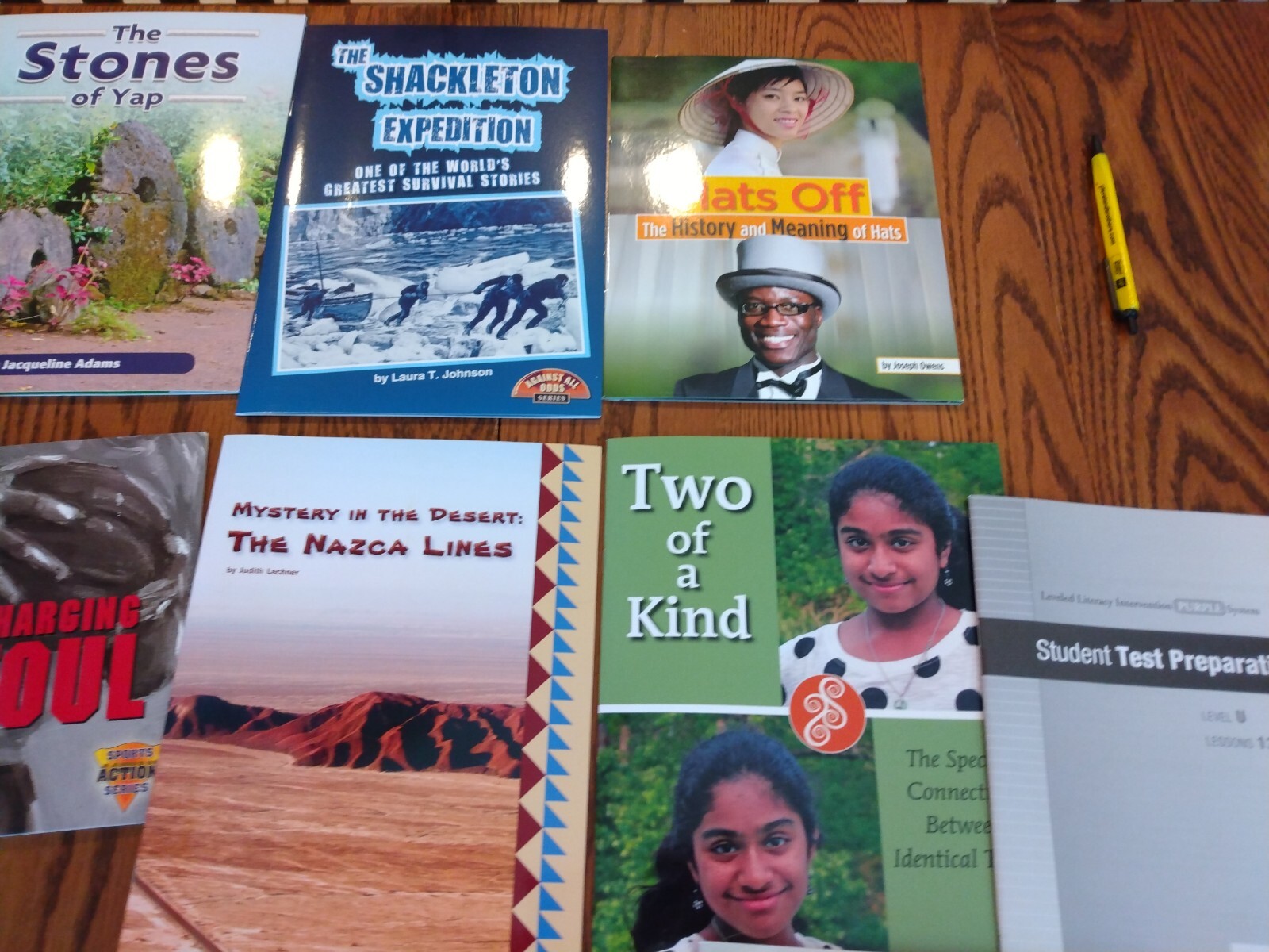 Fountas & Pinnell LLI Purple Grade 5 Lessons 103-136 Level U & S 25 ...