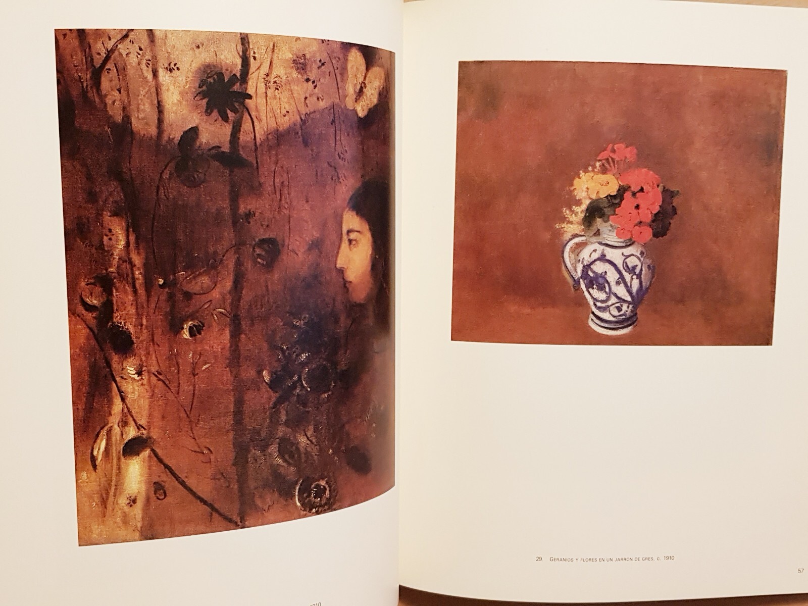 Odilon redon - coleccion ian woodner, 1990, arts, en espagnol. Illustré ...