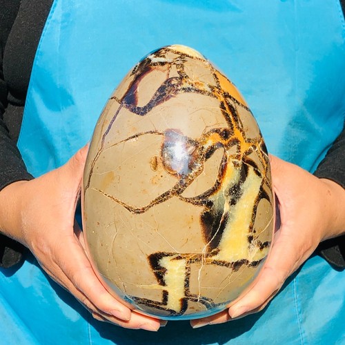 10.2LB Top Natural Dragon Septarian Crystal Geode Quartz Egg Mineral ...