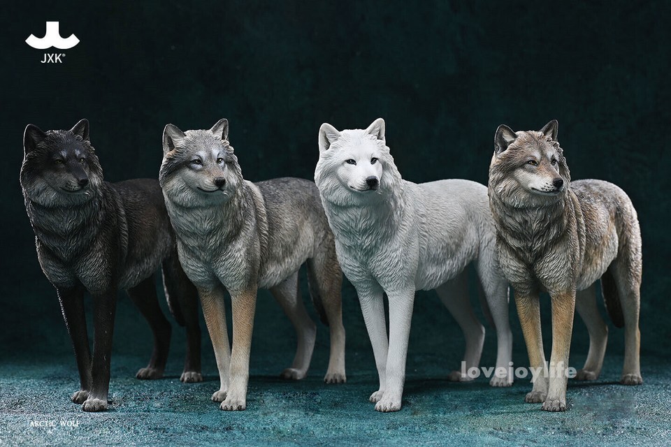 JXK 1/6 Arctic Wolf Model Canis Lupus Arctos Figure Wild Animal ...
