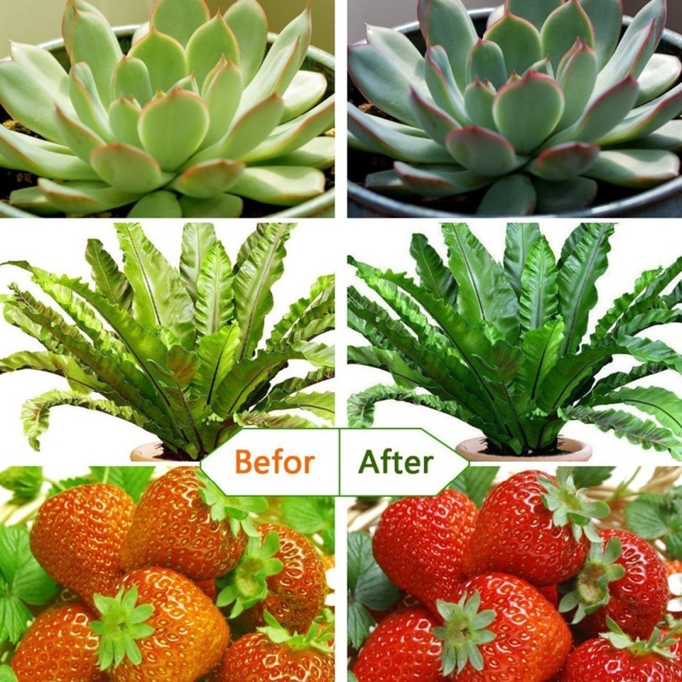 9W 5V Grow Lamp Single Head Timing Red Blue LED Plant Grow Light with ...