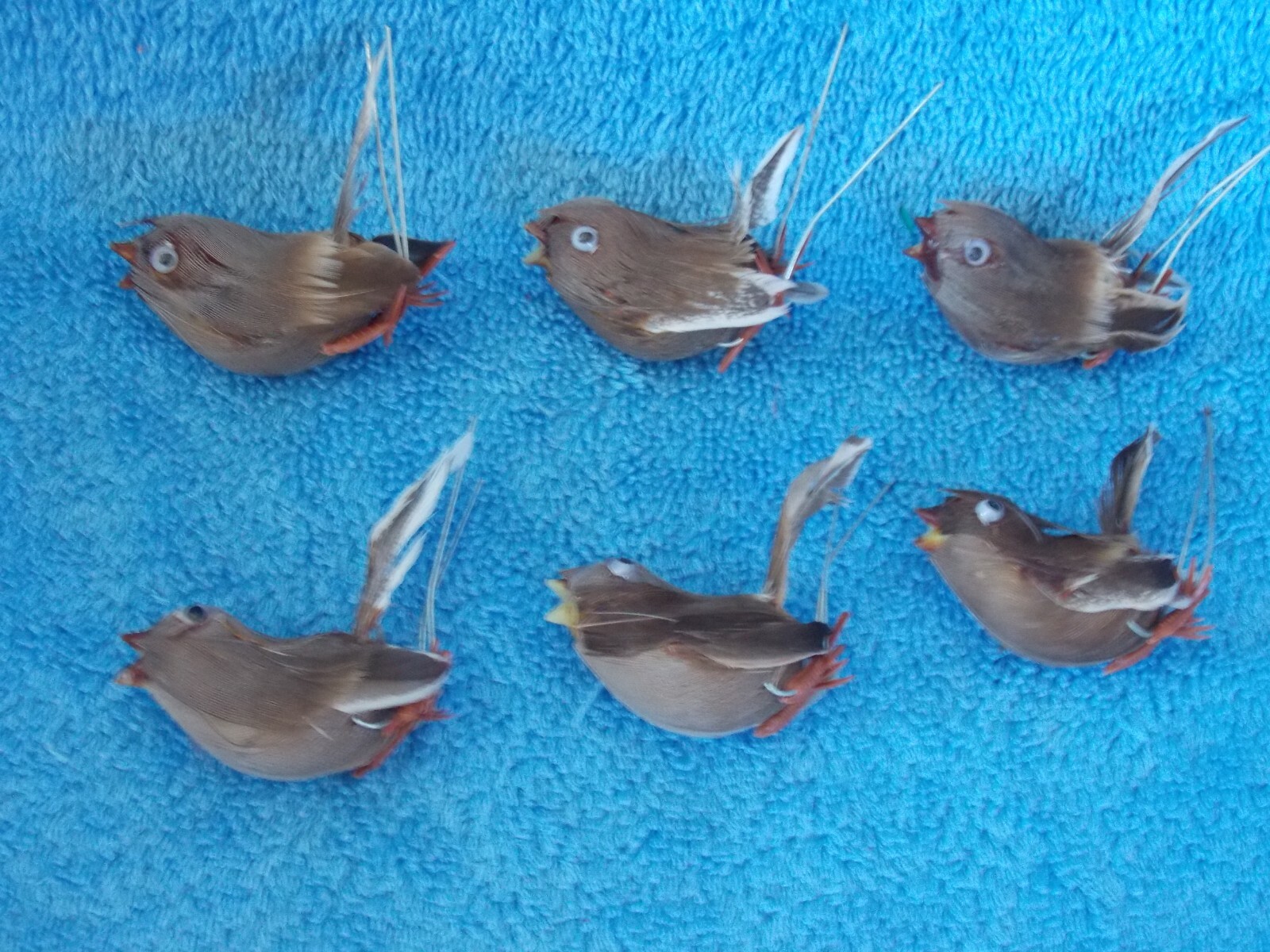 Vintage 2" Set of 6 Brown Feather Bird Picks | eBay