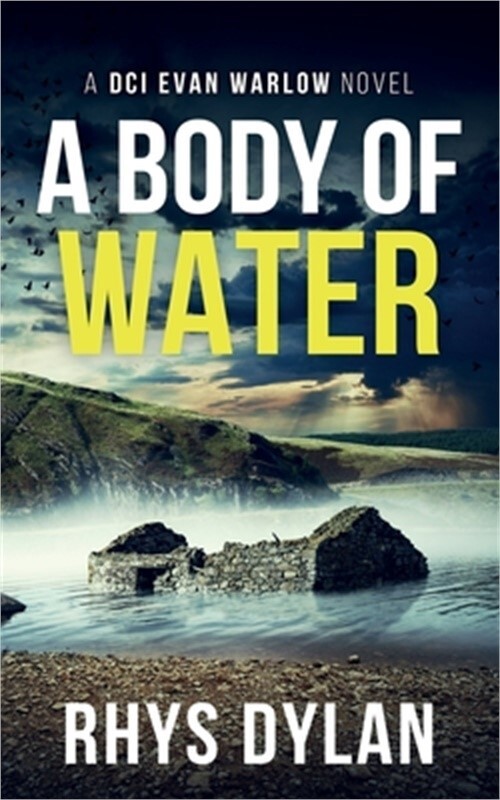Body of Water by Rhys Dylan (2023, Trade Paperback) for sale online | eBay