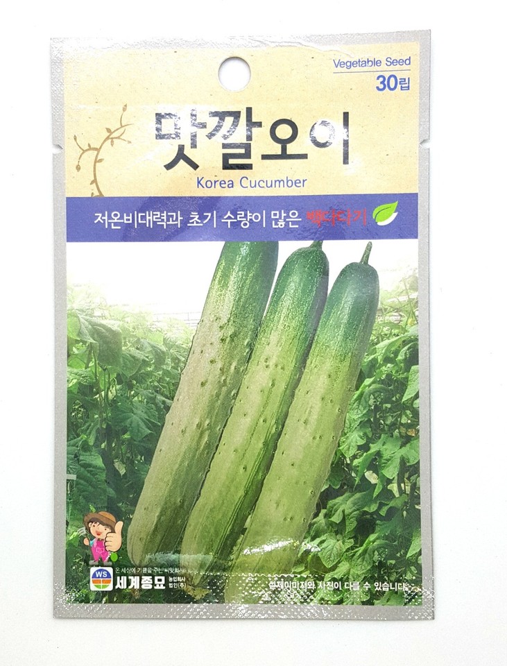 Korean Healthy Vegetable Lettuce, Sesame, Radish, Chives, Cirsium Seed ...