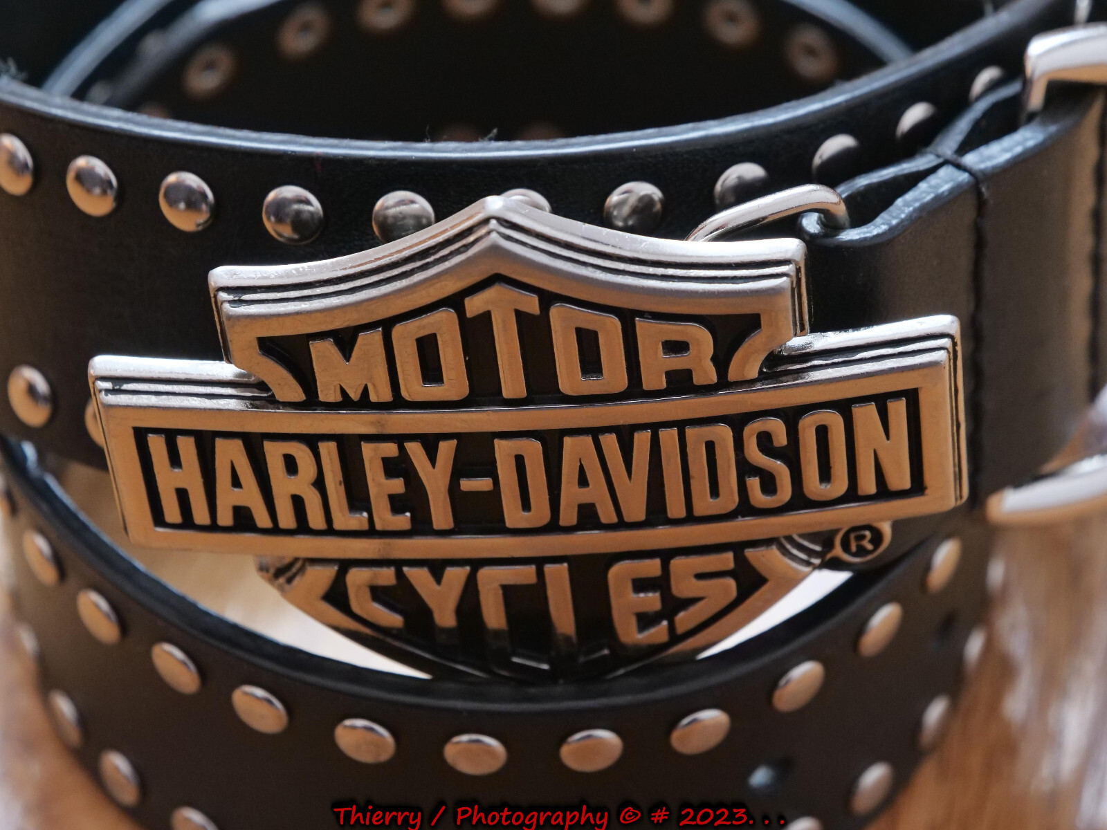 Harley-Davidson Studded Genuine Leather Belt With Buc… - Gem