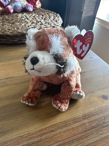 Ty Beanie Babies "Rusty" 2002 6" Rusty Colored, Bushy Tailed, Red Panda ...
