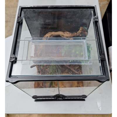 "Sherman Tanks" Replacement Glass Lid for Exo Terra 12" L x12" W | eBay