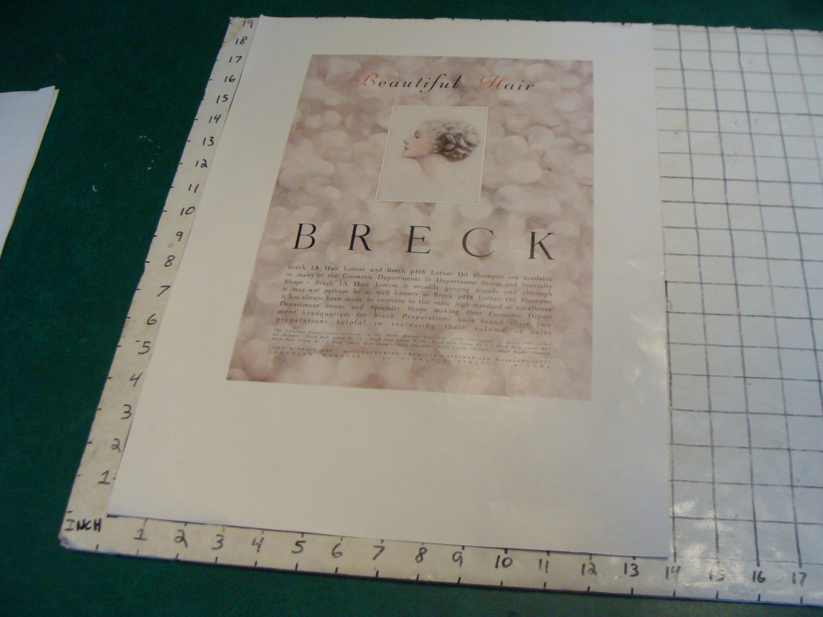 Original 1940's BRECK--POSTER--BEAUTIFUL HAIR #3; very scarce item for ...