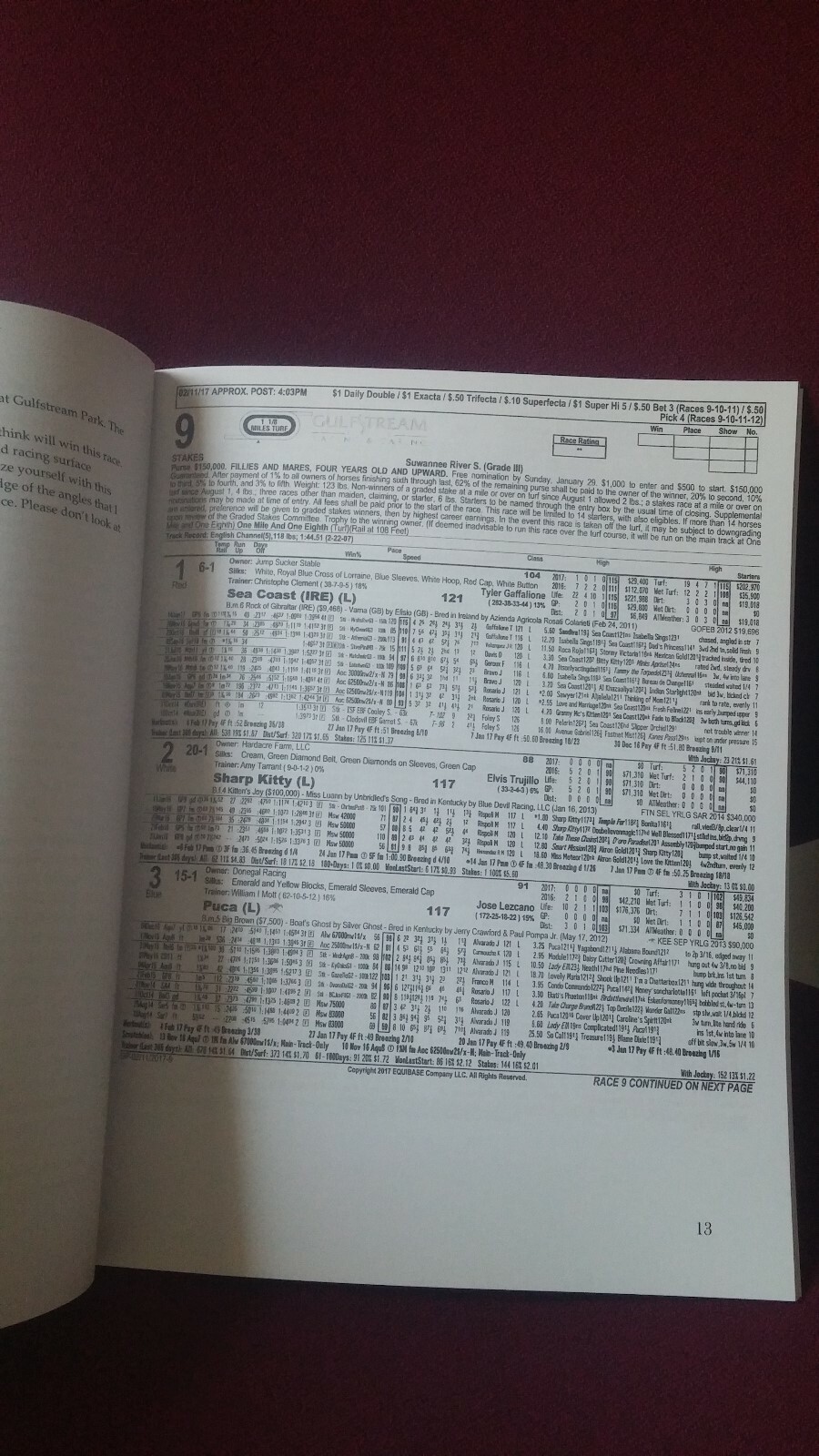 Horse Racing, Handicapping Book, Thoroughbred, Standardbred,Selecting ...
