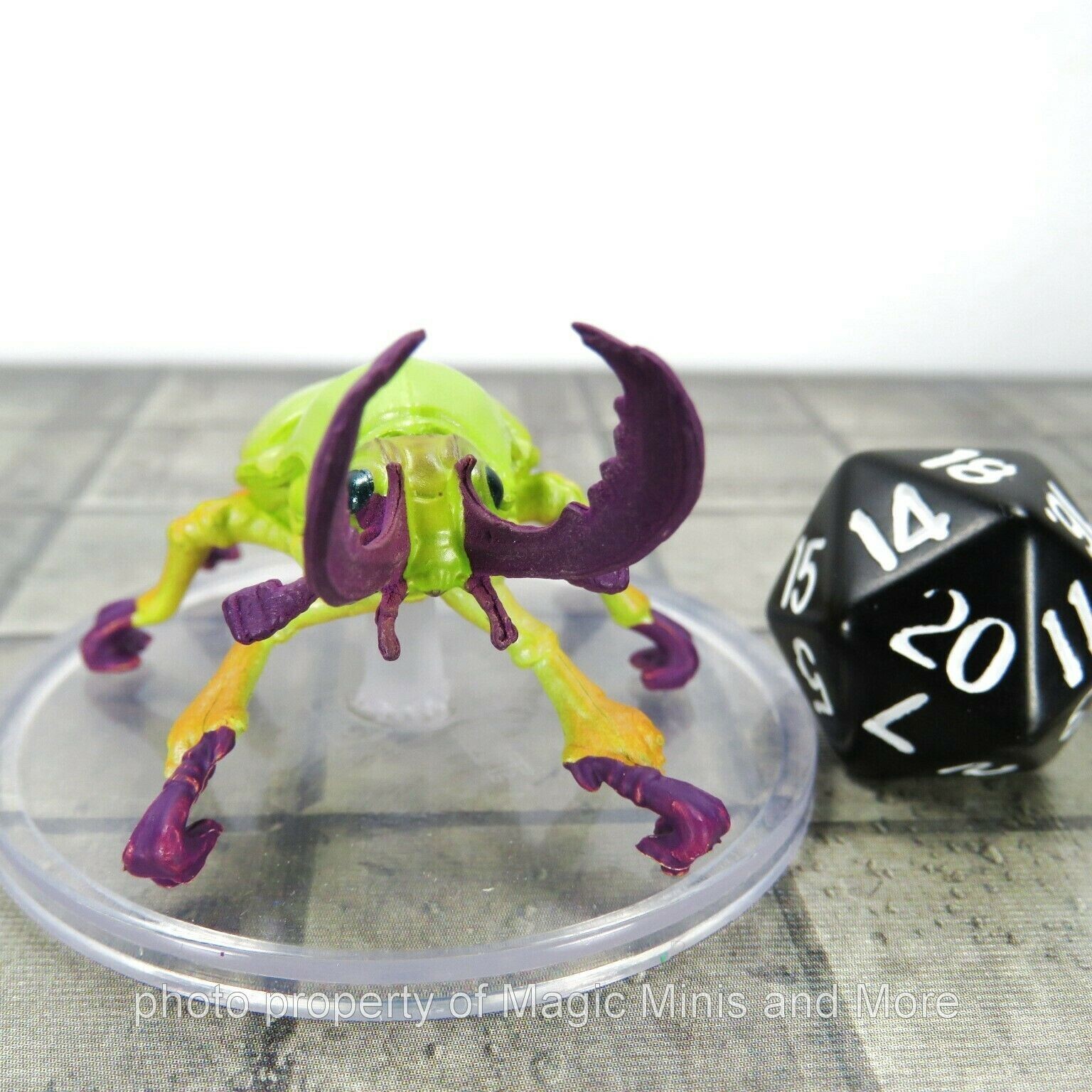 Darklands Rising ~ GIANT STAG BEETLE #30 Pathfinder Battles miniature ...