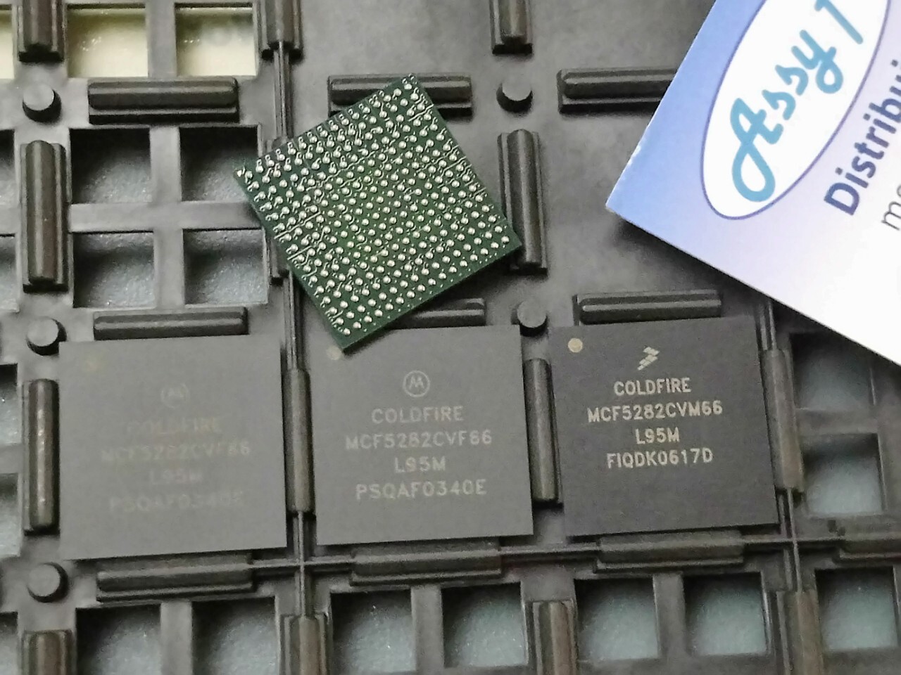 MCF5282CVF66 or MCF5282CVM66 IC MAP-BGA256 ) MCU 32-bit ColdFire RISC ...