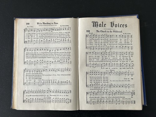 Antique SONGS FOR SERVICE Hymnal Book HC | eBay