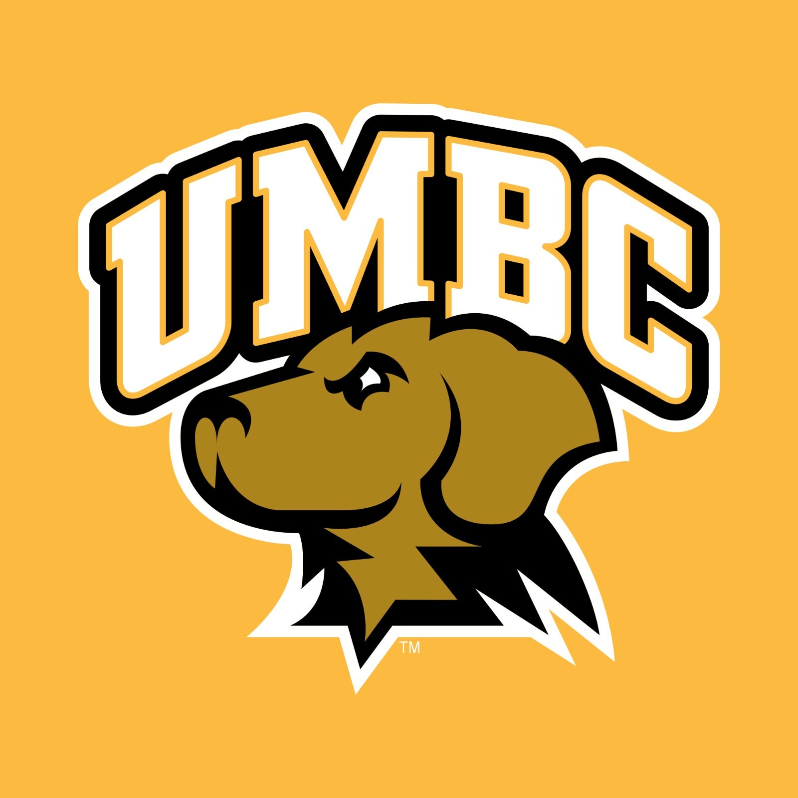 UMBC Retrievers Arch Logo Licensed Long Sleeve T-Shirt - Gold | eBay