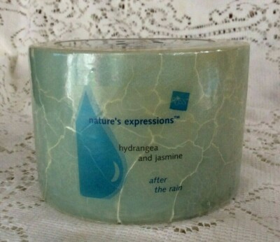 RUSS OVAL 3" PILLAR CANDLE - NATURE'S EXPRESSIONS - AFTER THE RAIN | eBay
