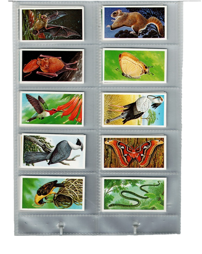 Brooke Bond Incredible Creatures (Sheen Lane) Tea Cards in Sleeves F ...
