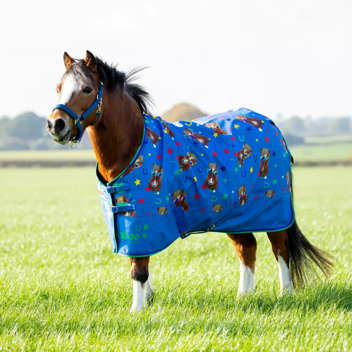 Pony Turnout Rugs 4 Ft 9 | Bryont Blog