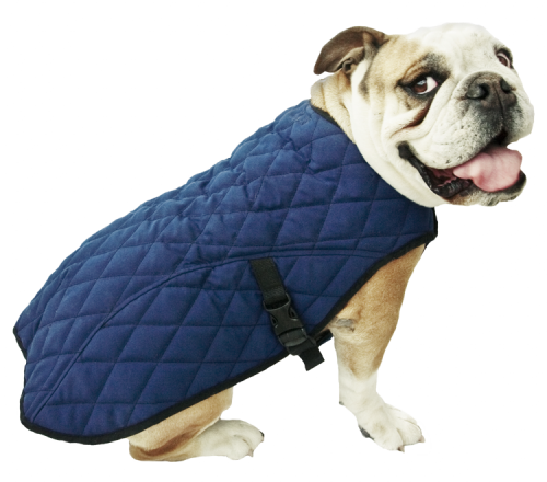 Aqua Coolkeeper Cooling Dog Jacket coat Blue or pink Heat Stress Travel ...
