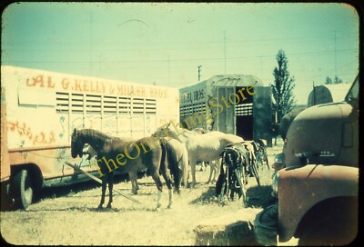 Al G Kelly Morris Bros Circus 1950s Horse Trailer Wagon 35mm Slide ...