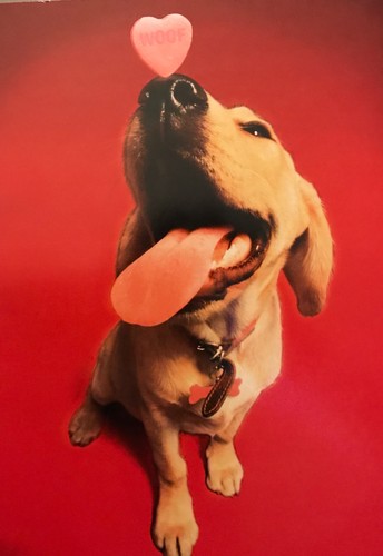 I Ruv You Like Crazy, Happy Valentine’s Day, Cute Dog, Greeting Card | eBay