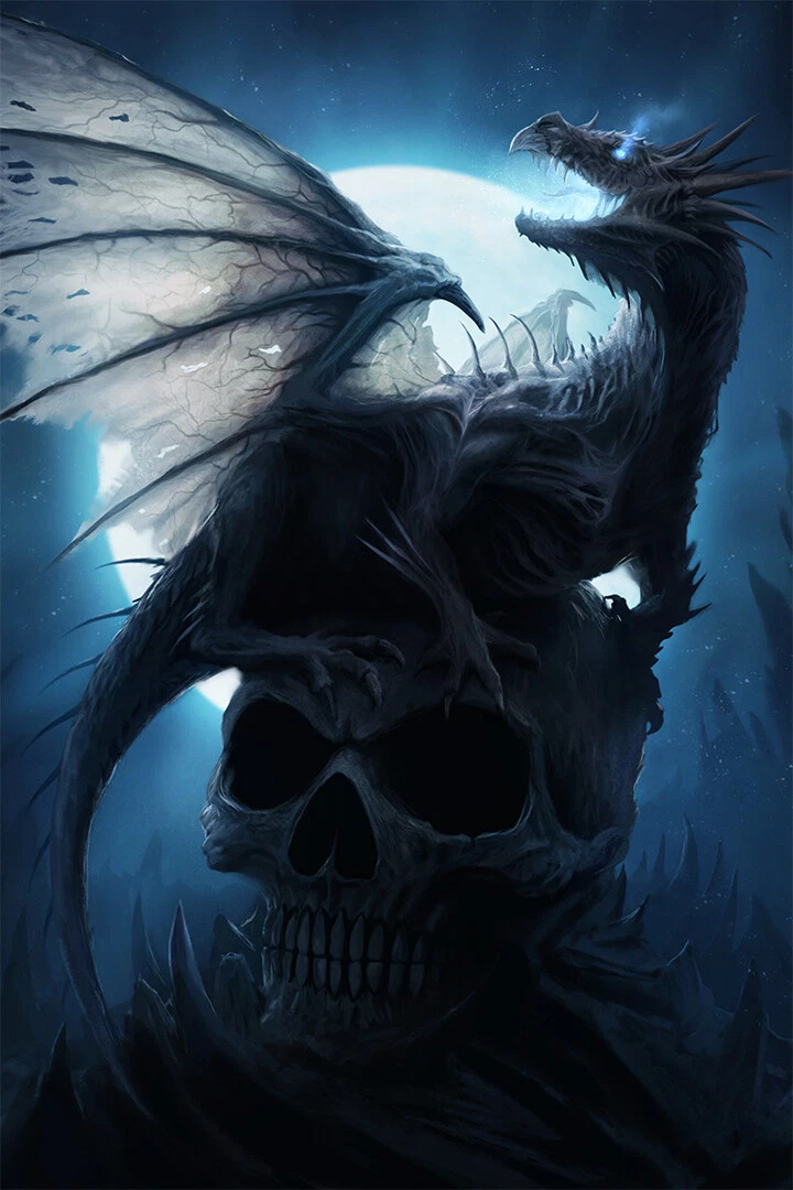Skulls And Dragons Wallpapers