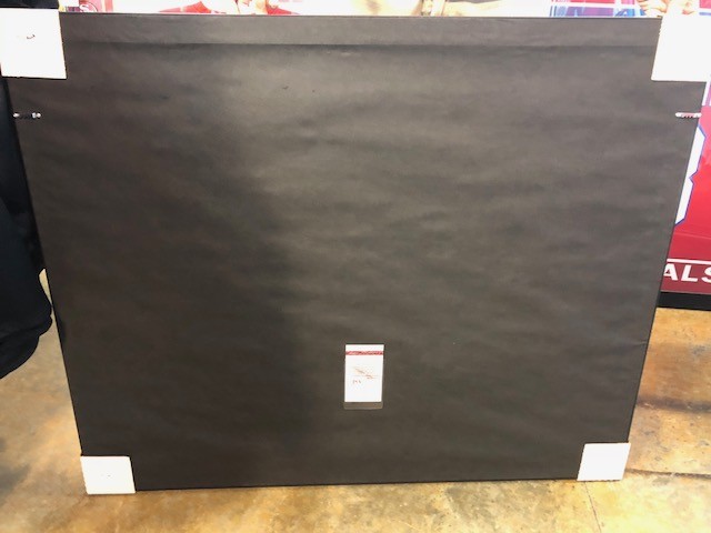 Lawrence Taylor Signed "Any Given Sunday" Luther Lavay 31x35 Framed ...