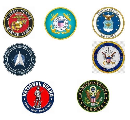 Air Force National Guard Logo