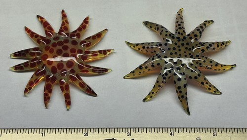 Tim Jerman Flameworked Glass Rare Pair of Sunstarfish. Signed and Dated ...