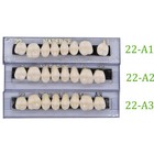 168 Pcs Dental Acrylic Resin False Teeth Color A1 A2 A3 Size 22# 23# 24 ...