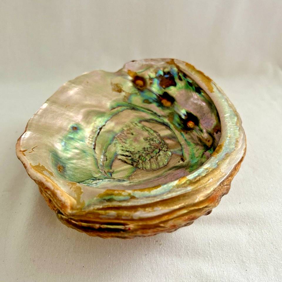 Natural Abalone Seashell Smudging Dish Bowl Footed Incense Burner | eBay