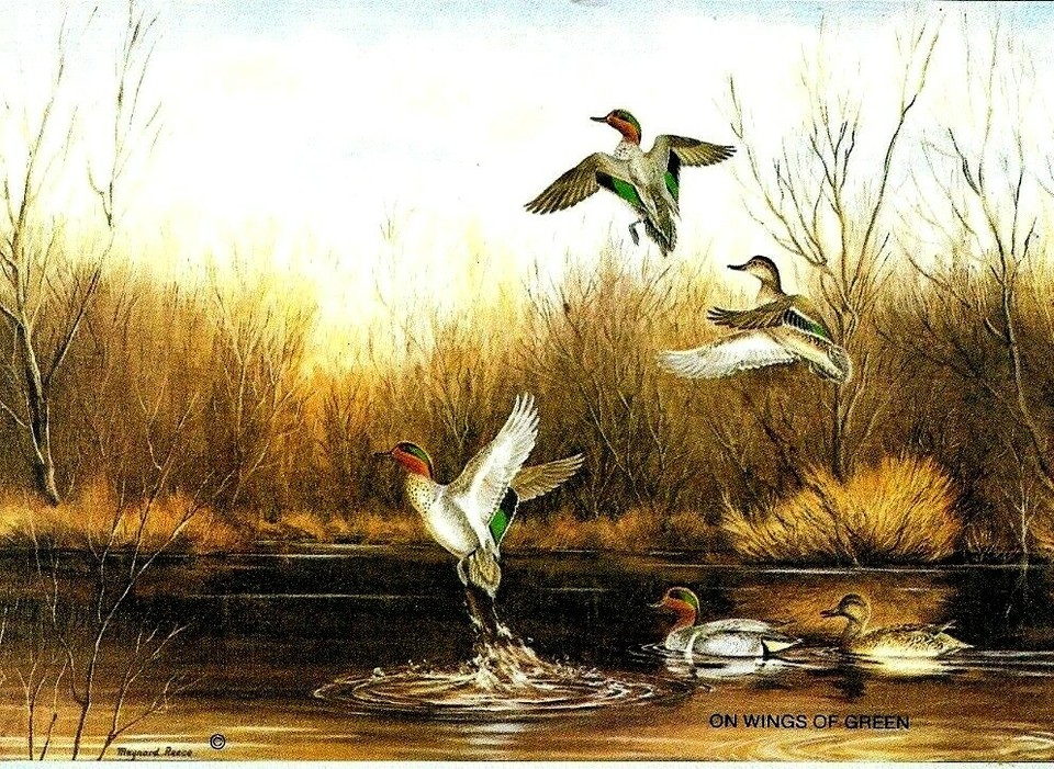 Maynard Reece, Ducks, Water, Shrubs, Trees 4 5/8"x6.5" Sample Prints, 2 ...
