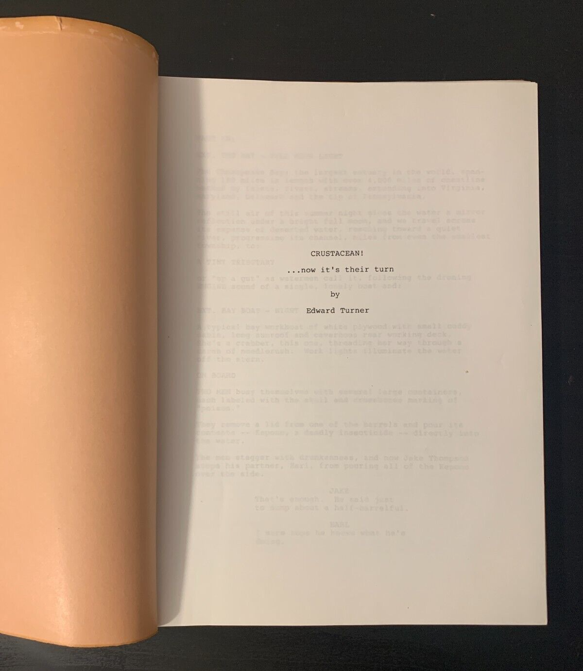 (6) Six Unproduced Original Independent Film Screenplays 70s-2000s ...