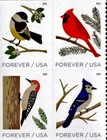 2018 50c Forever Birds in Winter, Block of 4 Scott 5317-5320 Mint F/VF ...