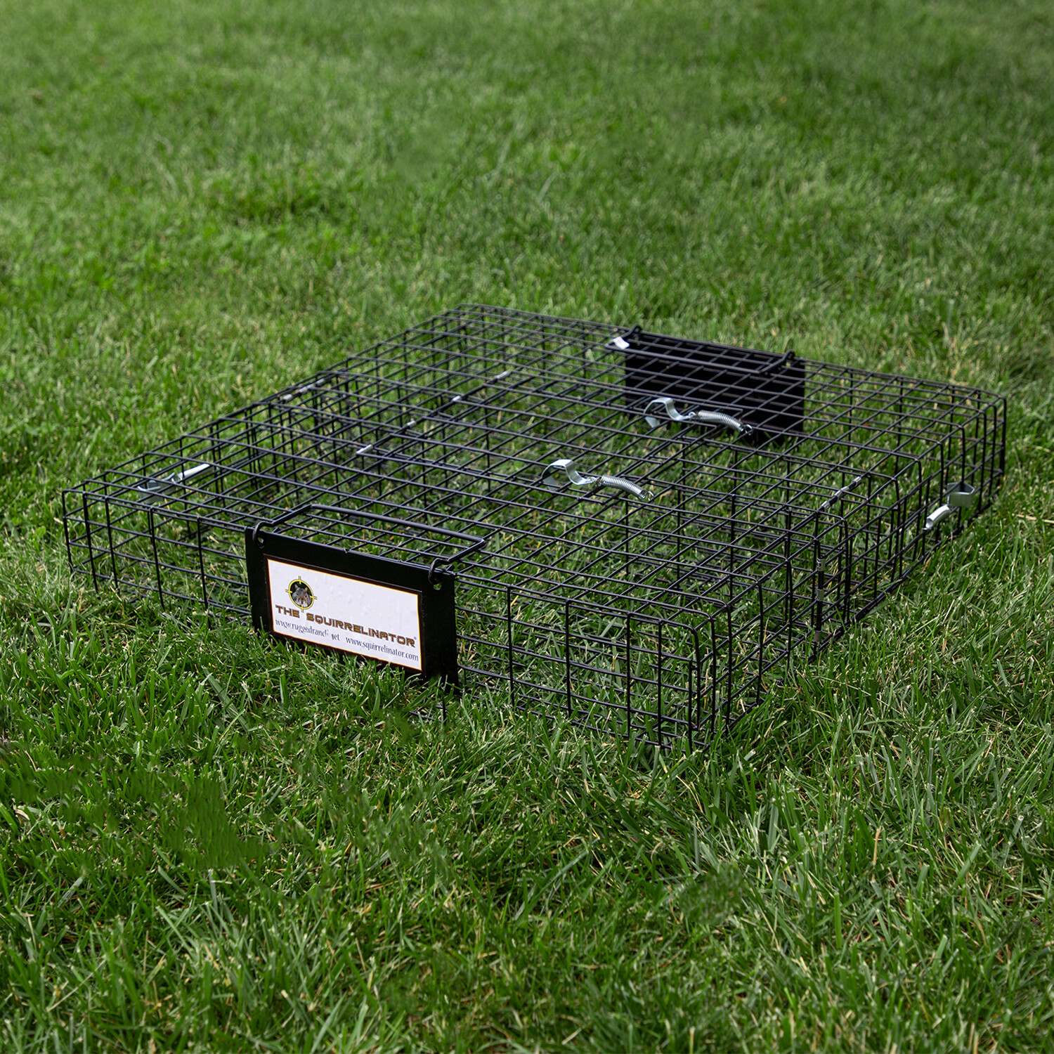 Rugged Ranch Squirrelinator Live Squirrel Chipmunk Metal 2 Door Cage ...