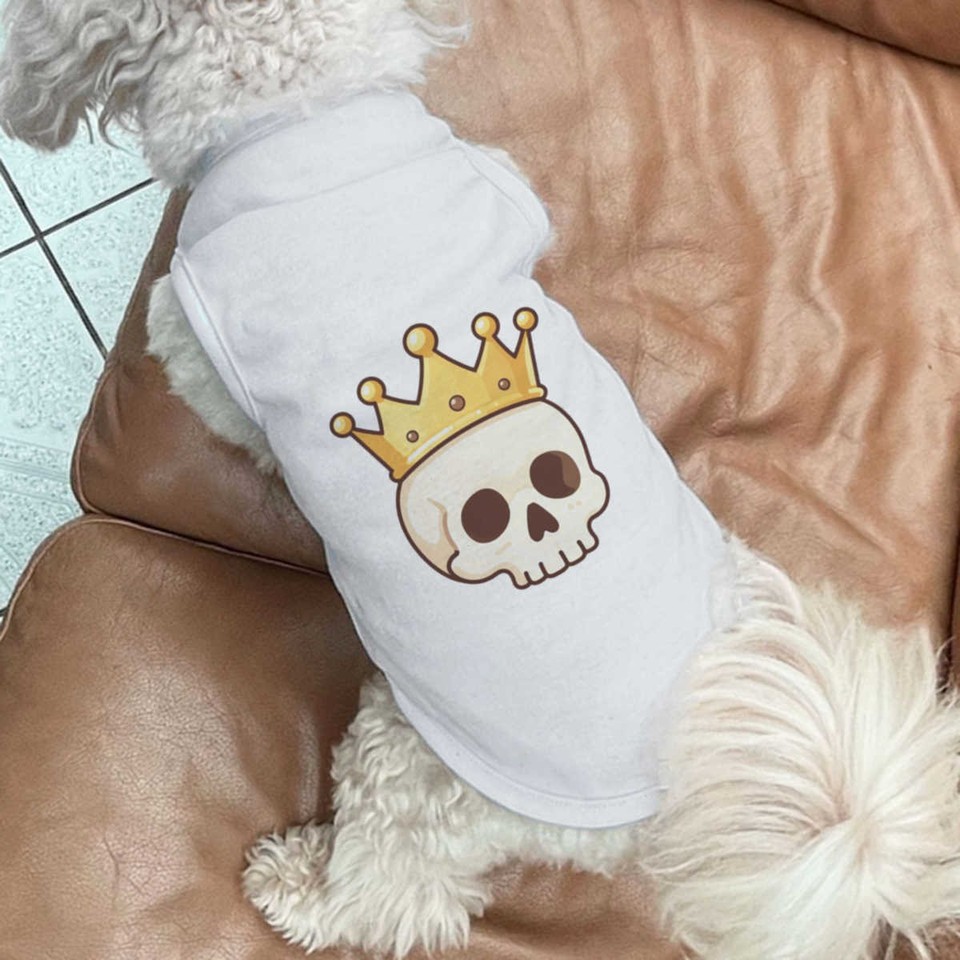 'Cartoon Crowned Skull' Pet Dog / Cat T-Shirt (PT060425) | eBay UK