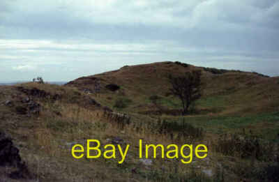 Photo 6x4 The fort on Finavon Hill Carsegownie The tree is growing in a ...