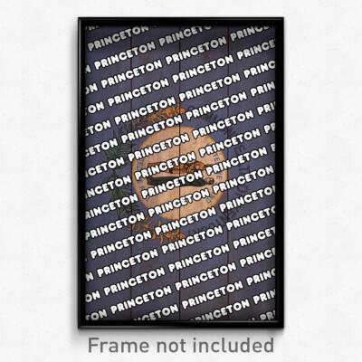 Princeton Kentucky Poster (KY City Souvenir 11x17 Town Print) | eBay
