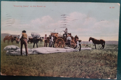 Antique Postcard, Breaking Camp, Cattle Round Up, 1908 | eBay