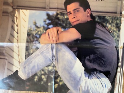 Danny Wood, New Kids on the Block, Dweezil Zappa, Four Page Foldout ...