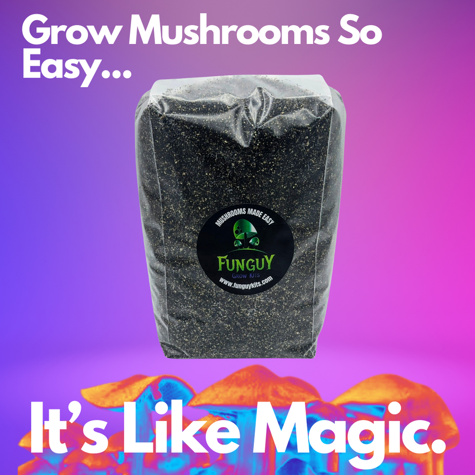 funguy-grow-kits-4-5-lbs-dung-loving-high-yield-mushroom-substrate