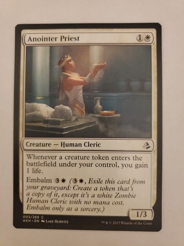 MTG Magic The Gathering Card Anointer Priest Creature Human Cleric ...