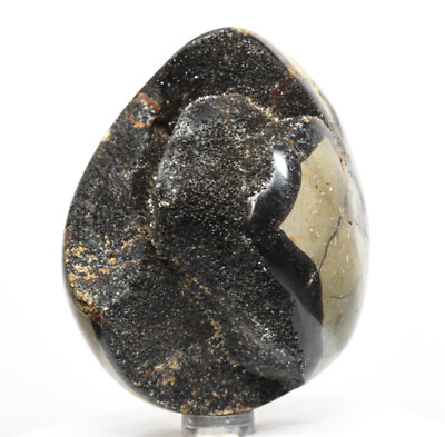 3.3" Septarian Dragon Stone Cluster Egg SW UV Reactive Geode Mineral ...