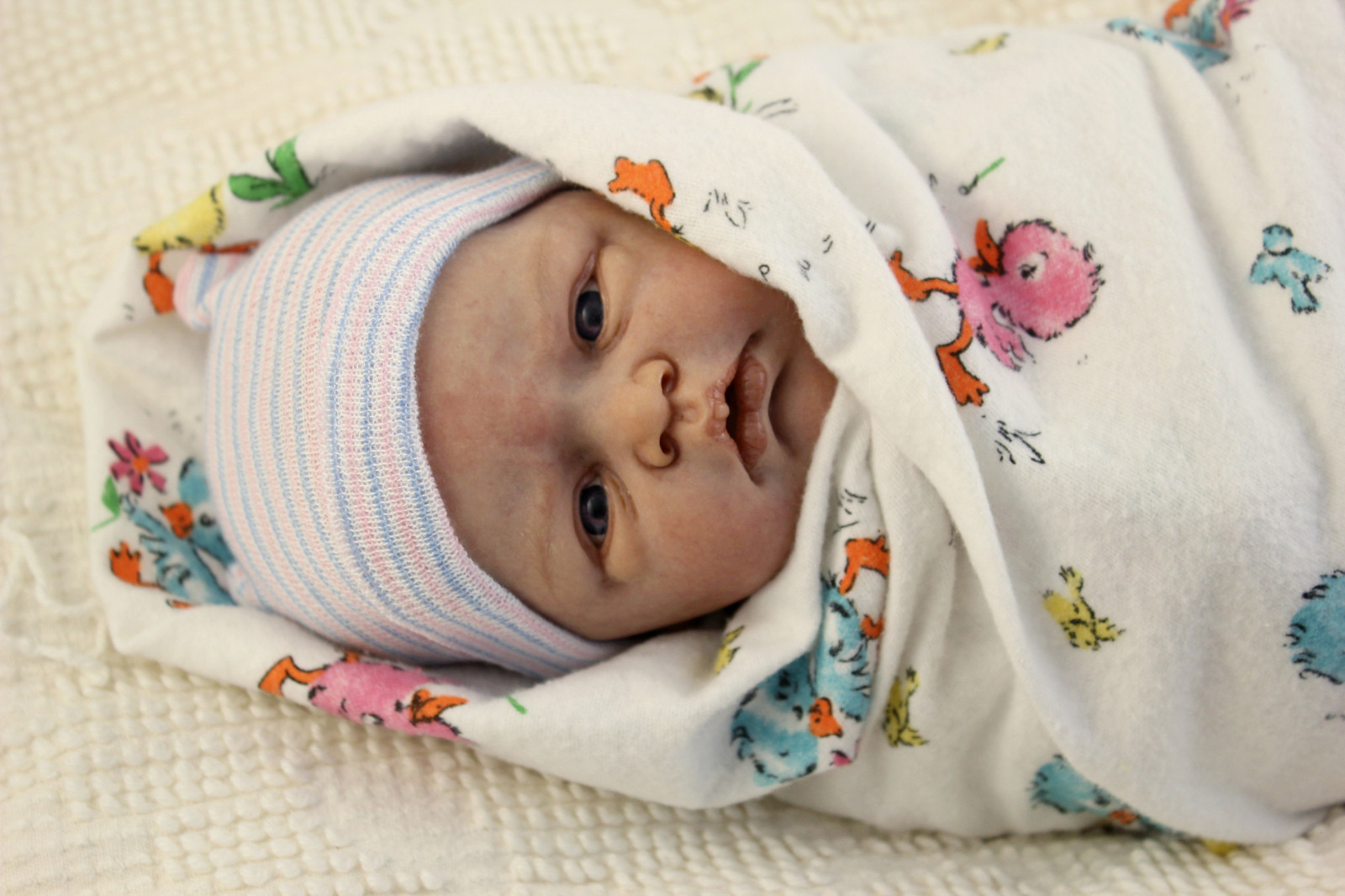 "Lilliana" by Emily Jameson blank vinyl reborn baby doll KIT newborn ...