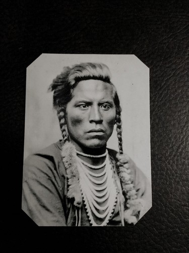 Historical tintype reproduction Native American Curly,Custer's Crow ...