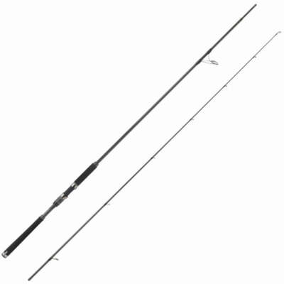 Abu Garcia Seabass Rod Salty Stage PT Seabass XSBS-942MMH (Spinning 2 Piece) | eBay