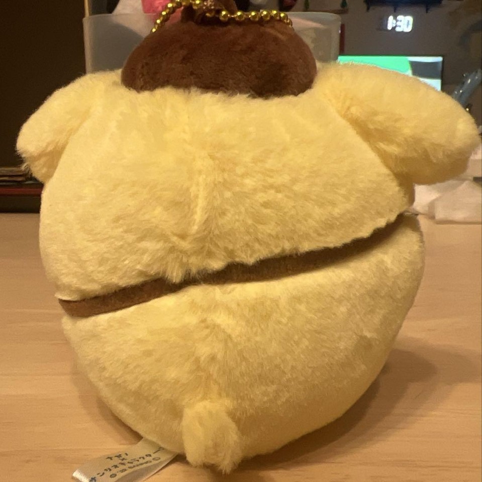 Sanrio [Rare] [Good condition] Nagano x Characters Pom Pom Purin Friend ...