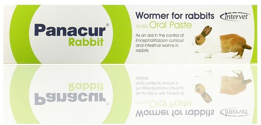 Panacur Rabbit Wormer Paste 5g Syringe 18.75% Worming Oral Paste ...