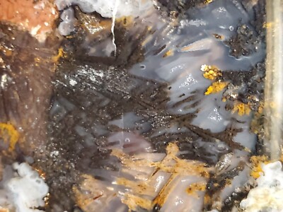 Large Baker Ranch Sagenite Needles Thunderegg Polished Crystal Geode ...