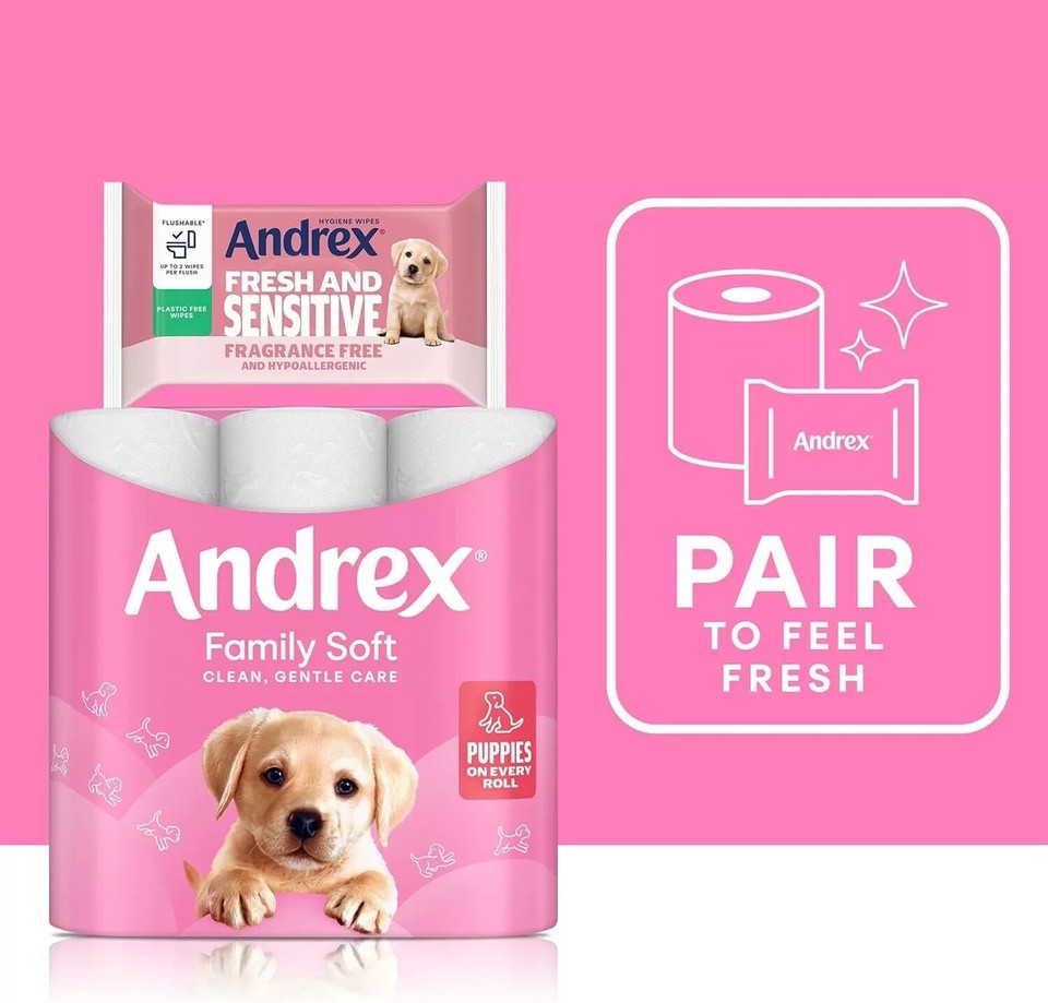 Andrex Family Soft Toilet Paper 24 Rolls (Previously Andrex Gentle ...